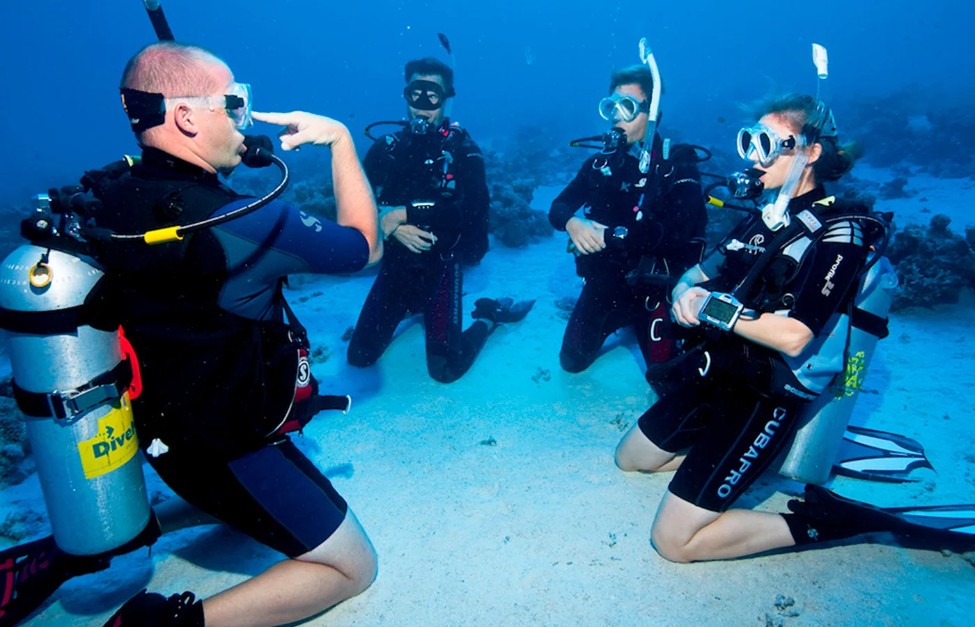 Your Ultimate Beginner's Guide to Scuba Diving - Musandam